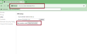 How to Clear DNS Cache in Chrome Using chrome://net-internals