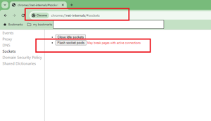 How to Clear DNS Cache in Chrome Using chrome://net-internals